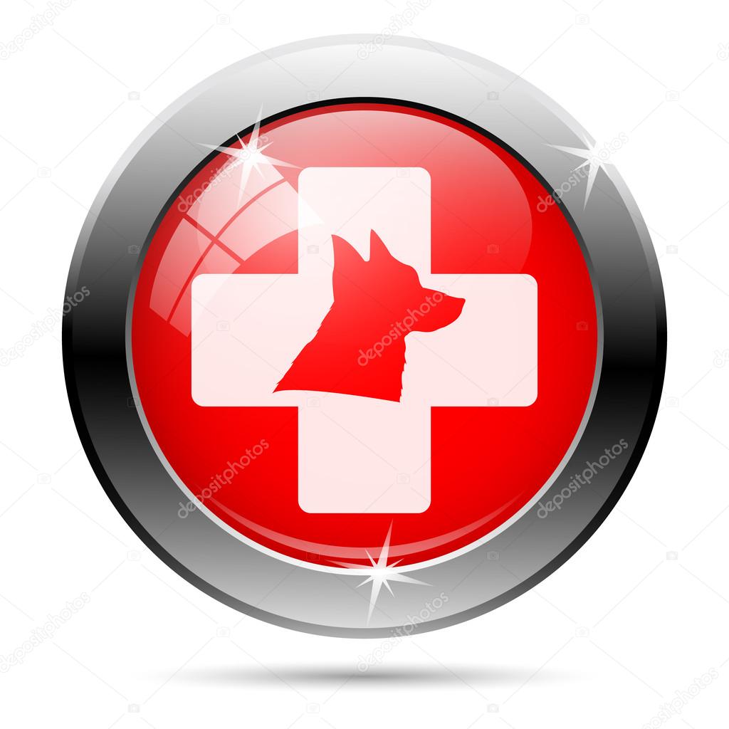 Veterinary icon — Stock Photo © valentint #36812131