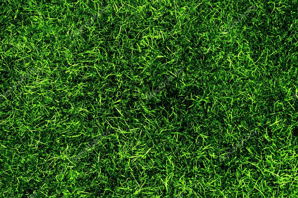 Texture erba — Foto Stock © so47pics #14771315