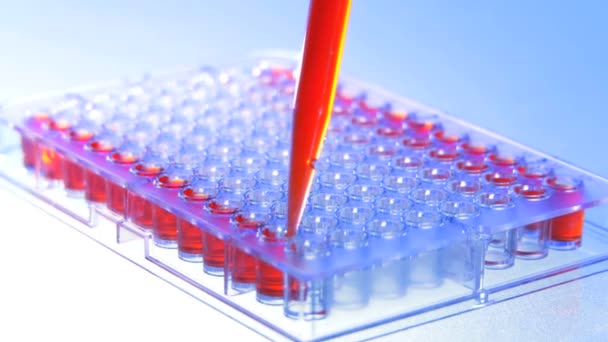 Microplate in colors Stock Photo by ©angellodeco 9750764