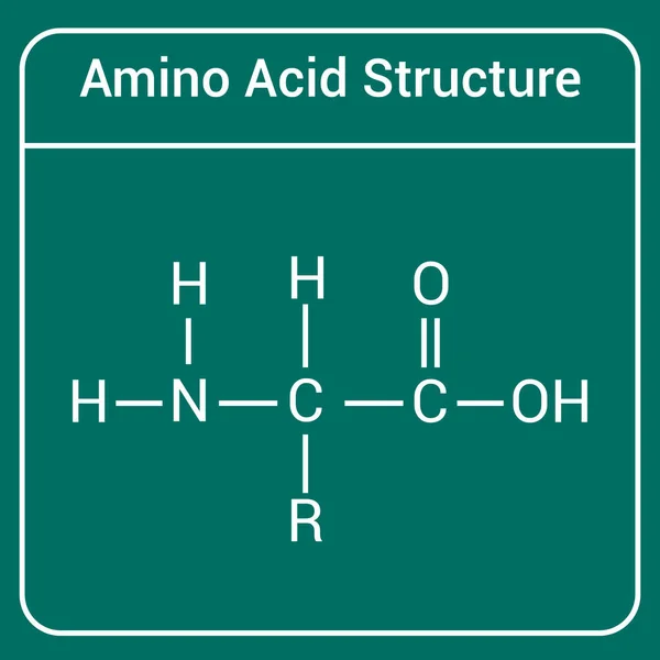 Amino Acid Chemical Structure