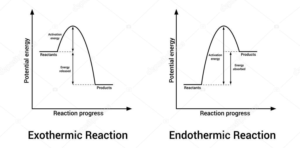 reacciones exotérmicas y endotérmicas en la química 2025