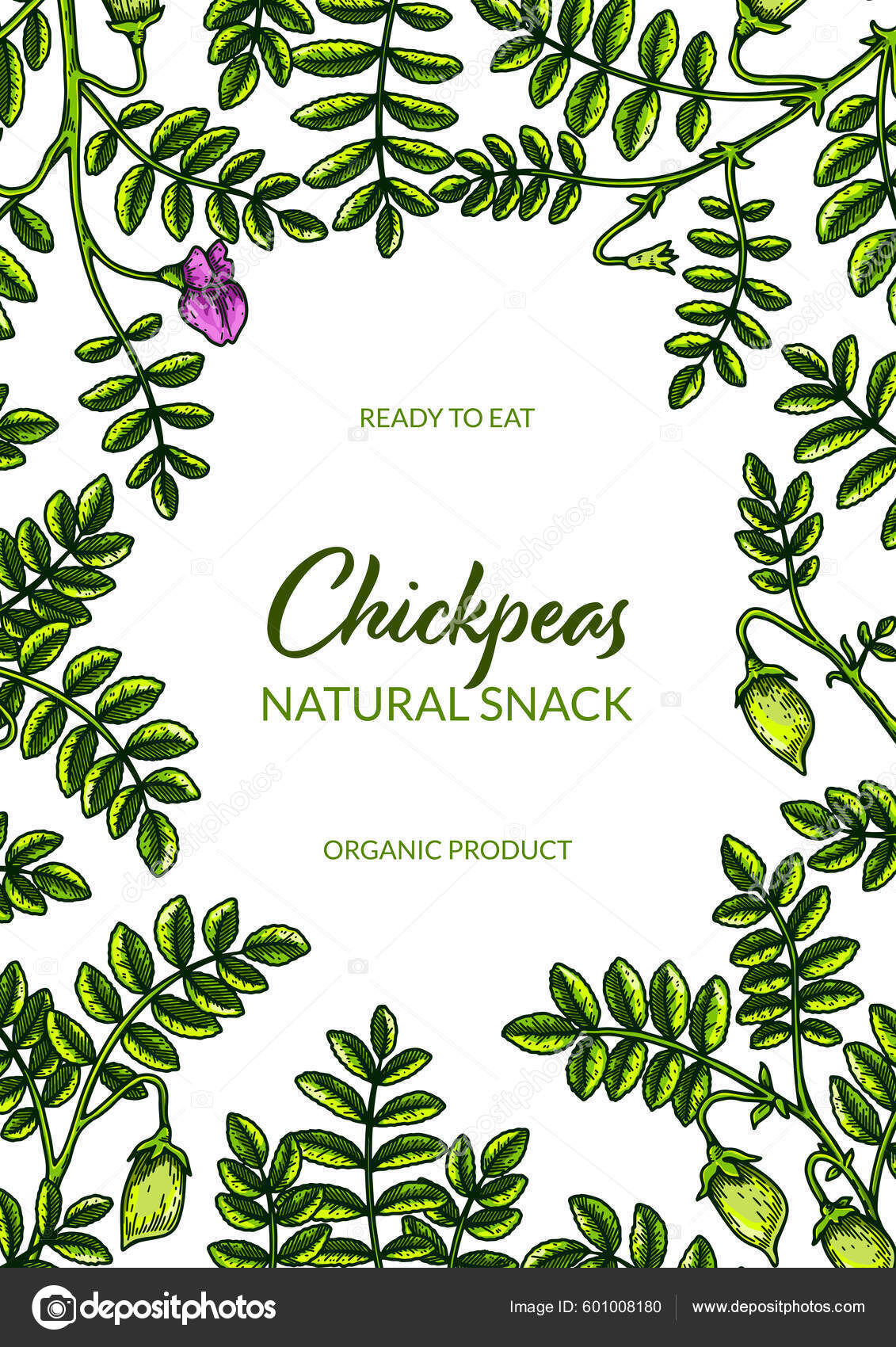 Colorful Vertical Chickpeas Design Hand Drawn Illustration Colored ...