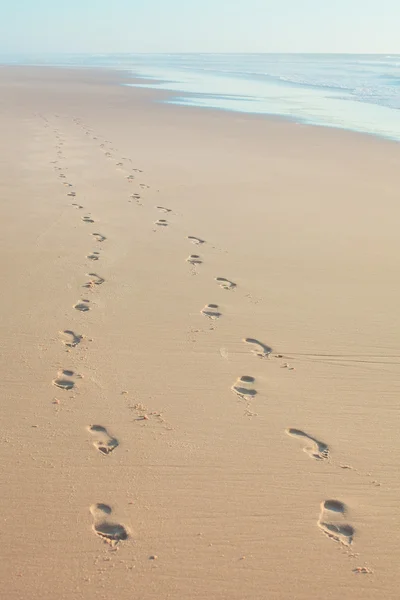 Beach footsteps Stock Photos, Royalty Free Beach footsteps Images ...