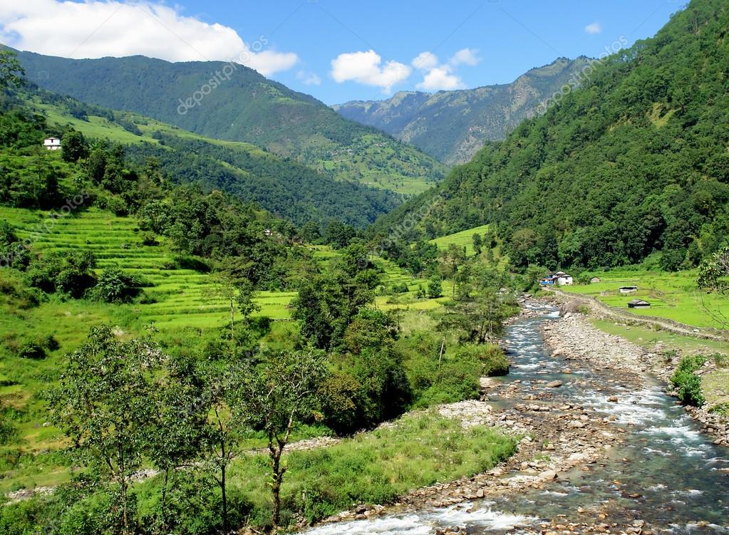 Rice fields and freshwate. Himalayan landscape — Stock Photo ...