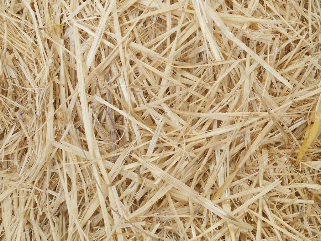Textura paja fondo: fotografía de stock © roberaten #15419327 ...