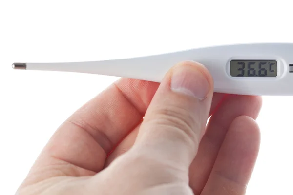 Hand holding electronic thermometer Stock Photo by ...