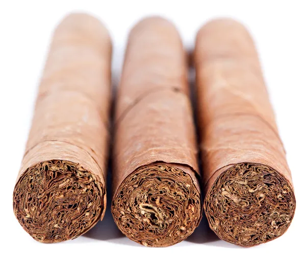 Cuban cigar Stock Photo by ©SergeBertasiusPhotography 50377341