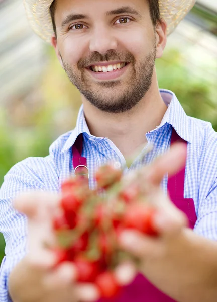 Gardener - Stock Image - Everypixel