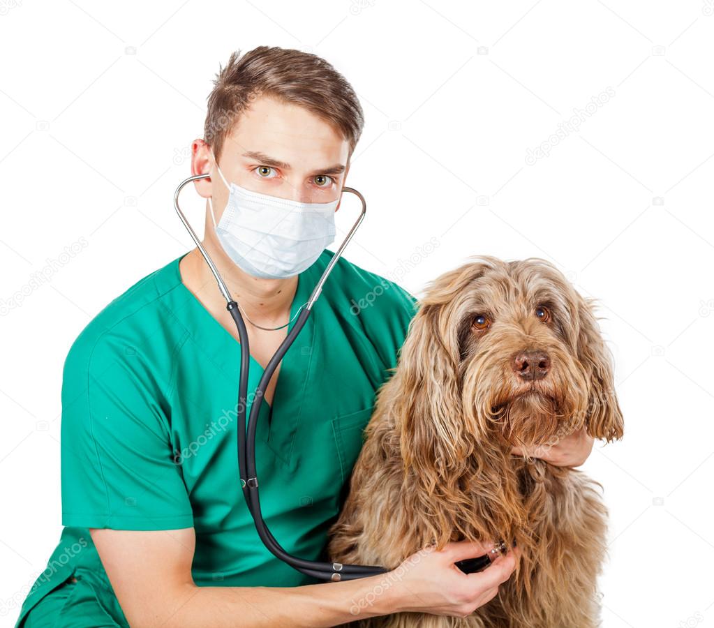 veteriner Doktor — Stok Foto © obencem #41442153