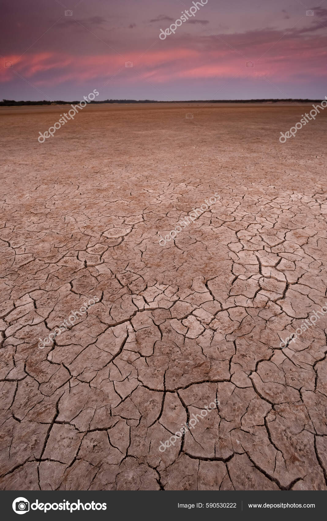Cracked Earth Desertification Process Pampa Province Patag — Stock ...