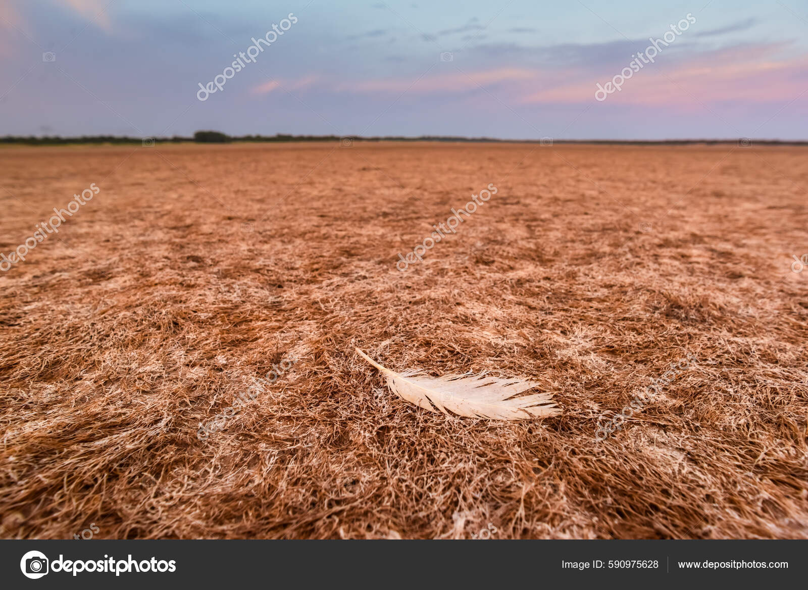 Desertification Process