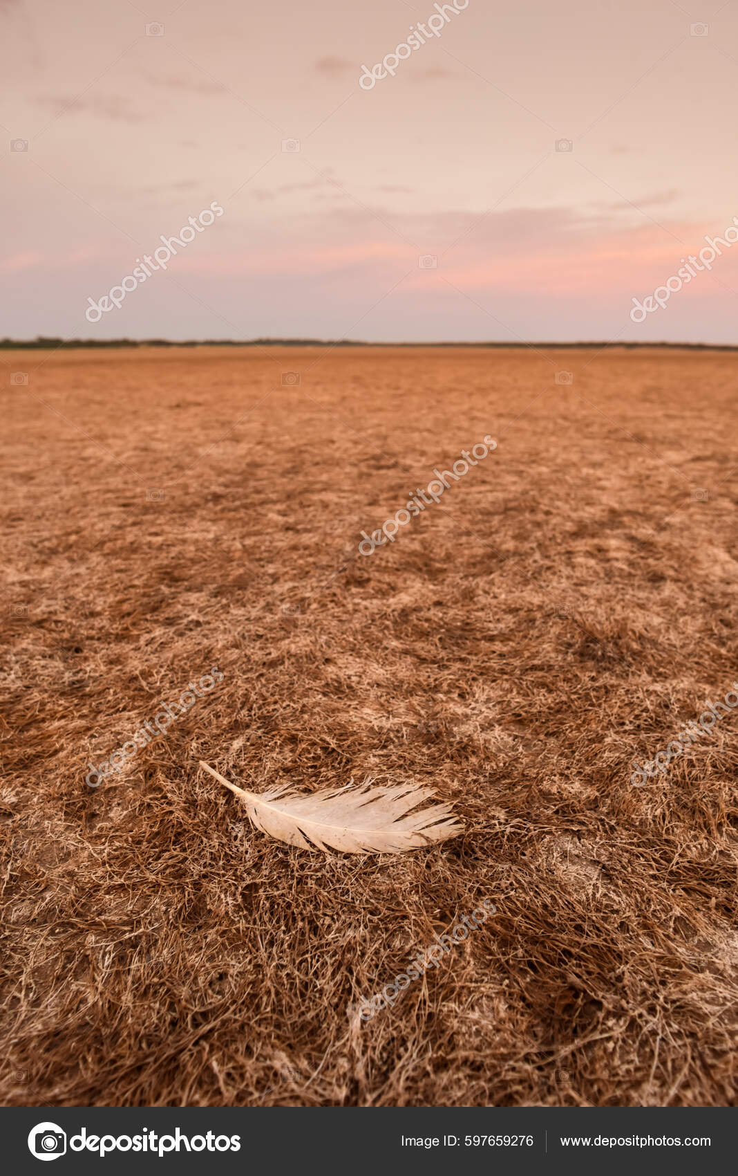 Desertification Process