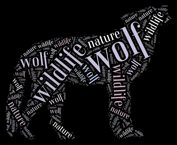 Wolf isolated Stock Photos, Royalty Free Wolf isolated Images ...