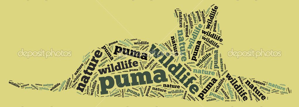 Puma wordcloud Stock Photo by ©alanuster 15641799
