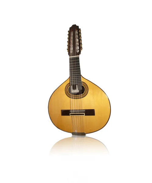 Bandurria Stock Photos, Royalty Free Bandurria Images | Depositphotos