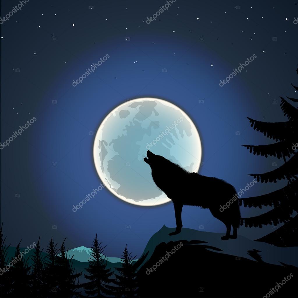 Wolf howling at the full moon — Stock Vector © ikopylove #18202969