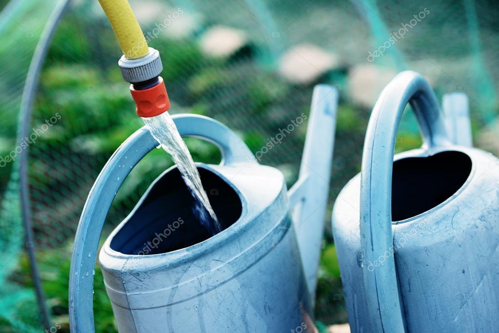 Jardinería, llenar la regadera de agua para regar las plantas en 2025