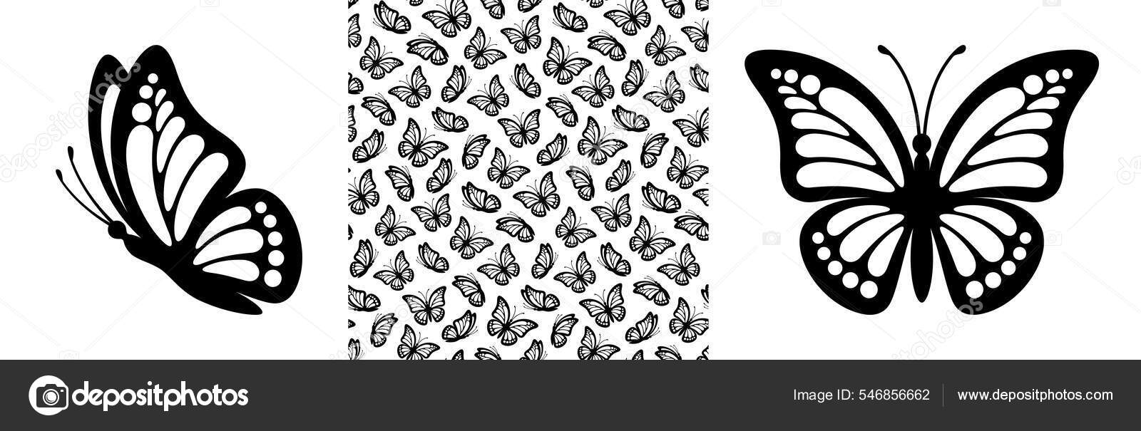 Butterfly Side View Outline