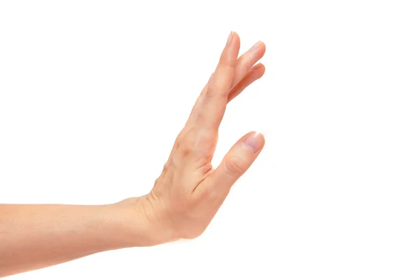 Stop hand gesture — Stock Photo © Mizina #21000865 Stop hand gesture — Stock Photo © Mizina #21000865