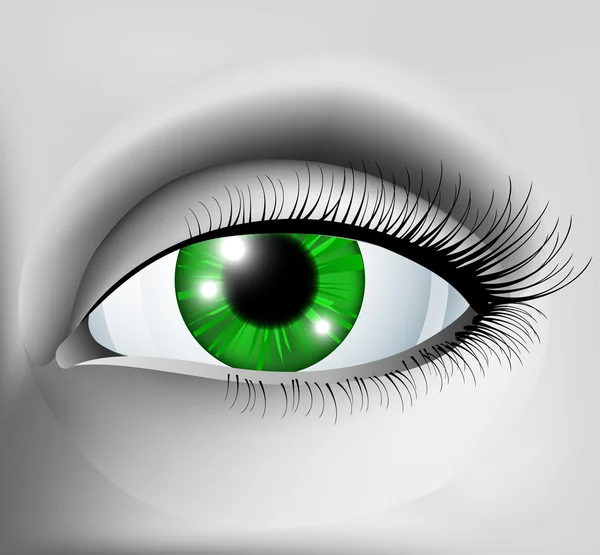 Zielone oko Vector Art Stock Images | Depositphotos