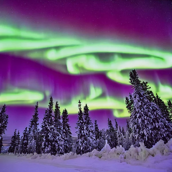 Winter northern lights Stock Photos, Royalty Free Winter northern ...