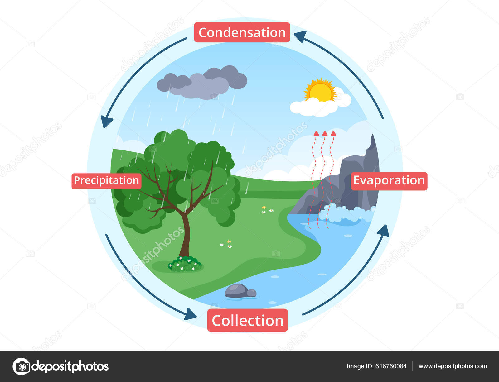 Water Cycle Evaporation Condensation Precipitation Collection Earth ...