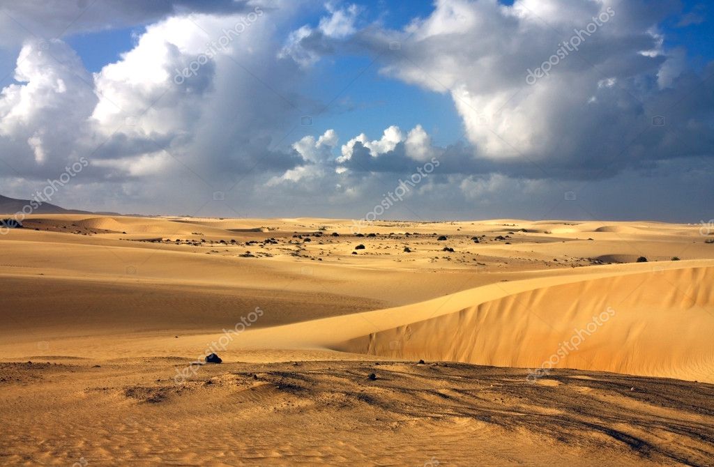 Sandy dunes of desert sahara — Stock Photo © kodda #22235409