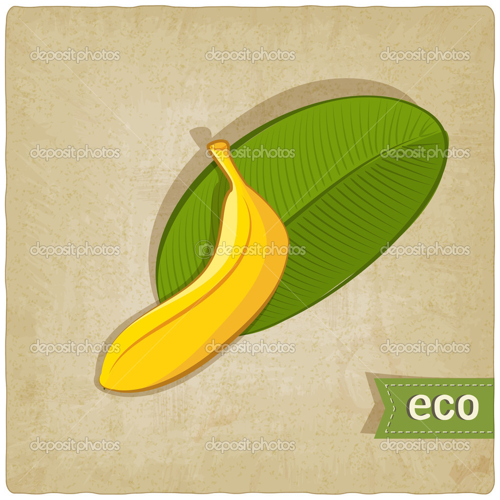 Fruit eco old background Stock Vector Image by ©natbasil #44249187