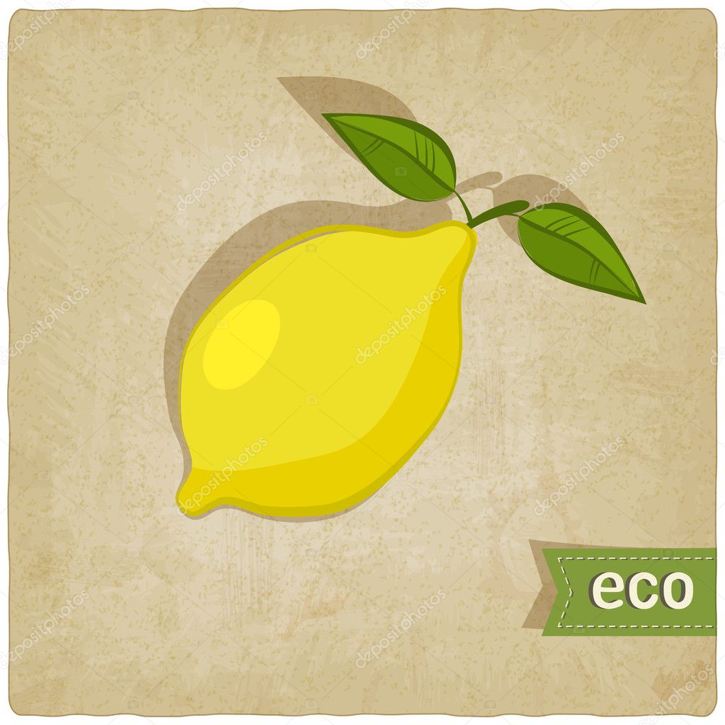 Fruit eco old background Stock Vector Image by ©natbasil #44249847