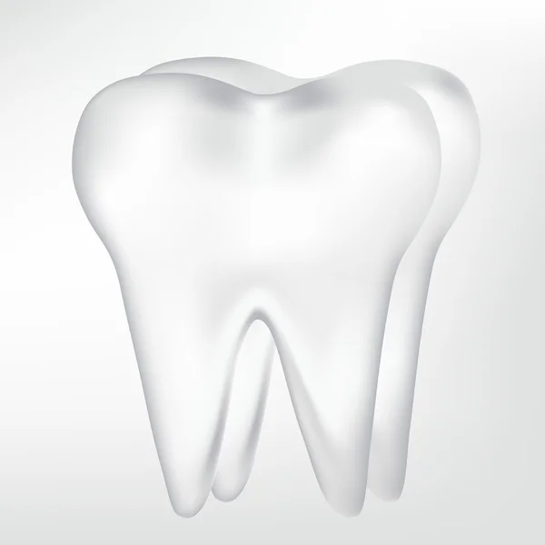 Tooth — Stock Vector © YokoDesign #20003443