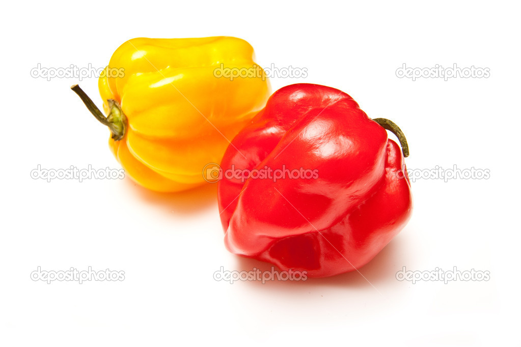 Scotch bonnet chilli pepper Stock Photo by ©west1 16937085