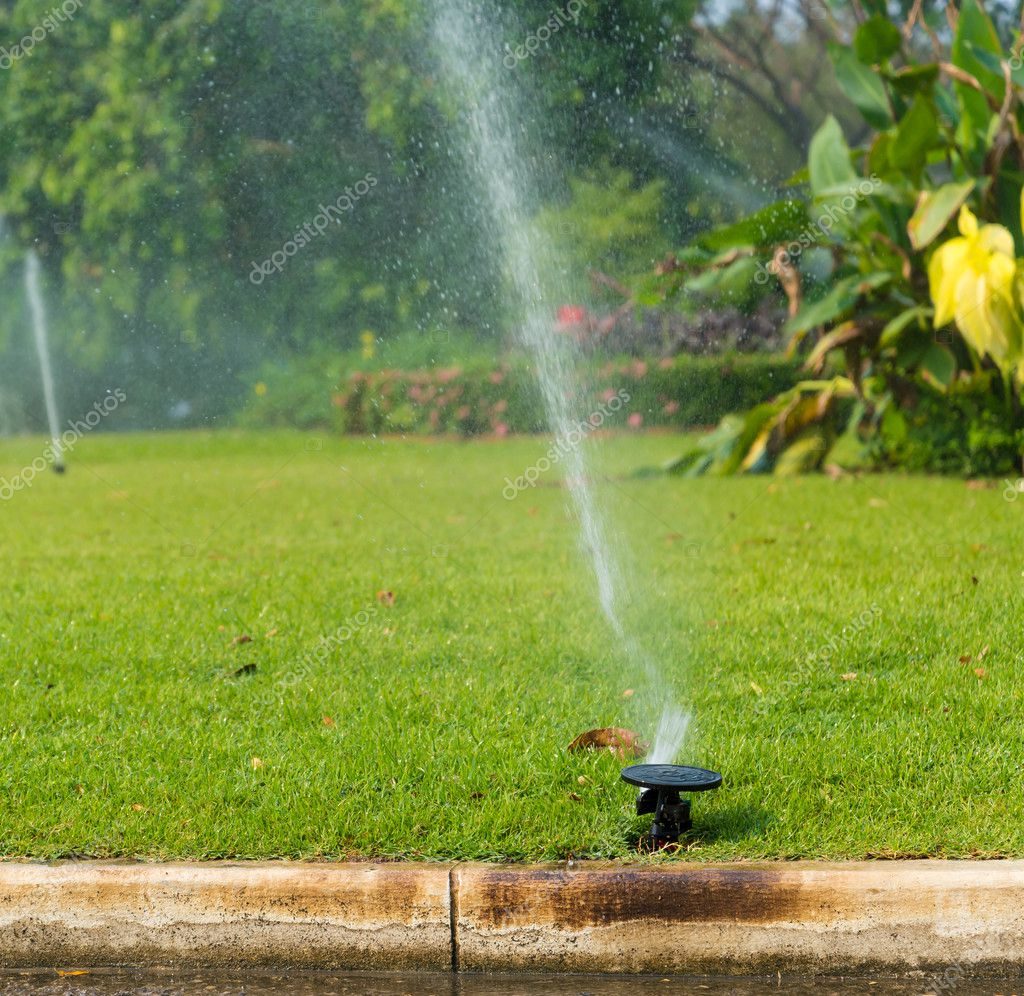 Sprinkle water Stock Photo by ©mrsiraphol 34793411