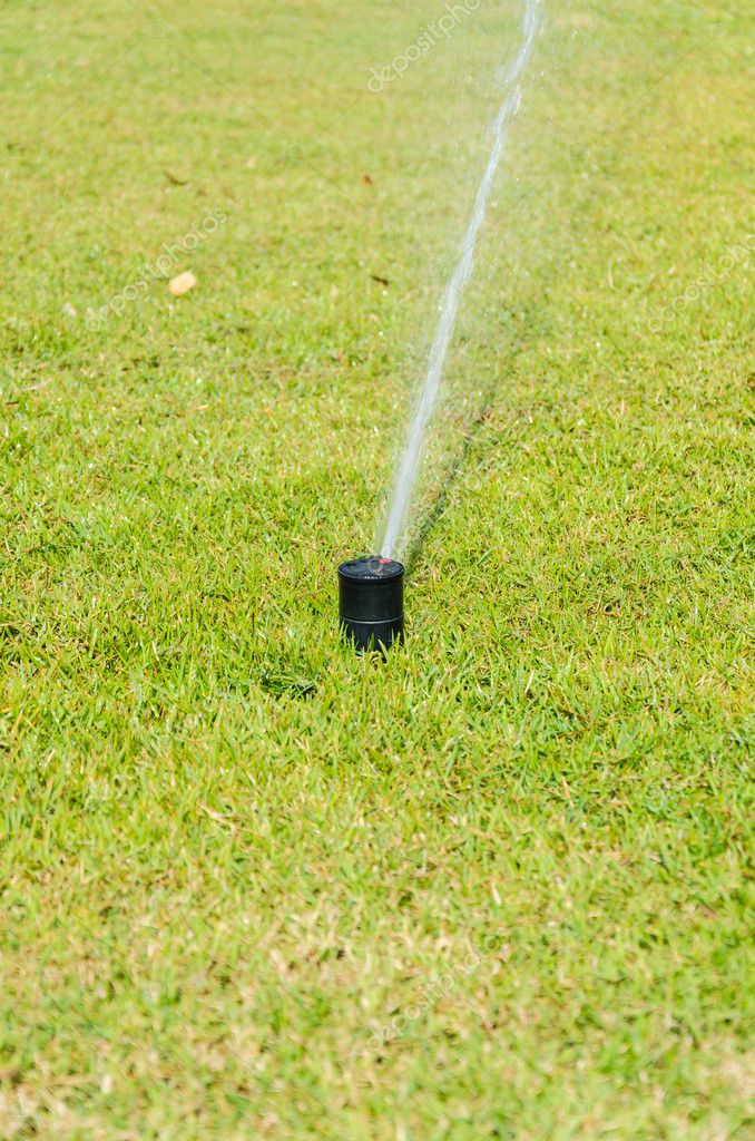 Sprinkle Stock Photo by ©mrsiraphol 39285909