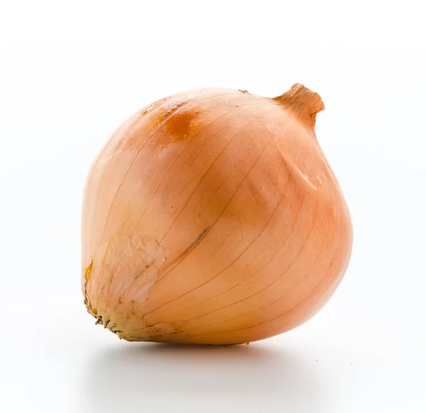 Onion — Stock Photo © Romas_ph #46671015