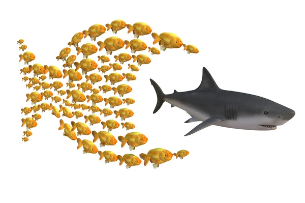 Fish cartoon Stock Photos, Royalty Free Fish cartoon Images | Depositphotos