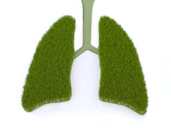 Green lung Stock Photos, Royalty Free Green lung Images | Depositphotos