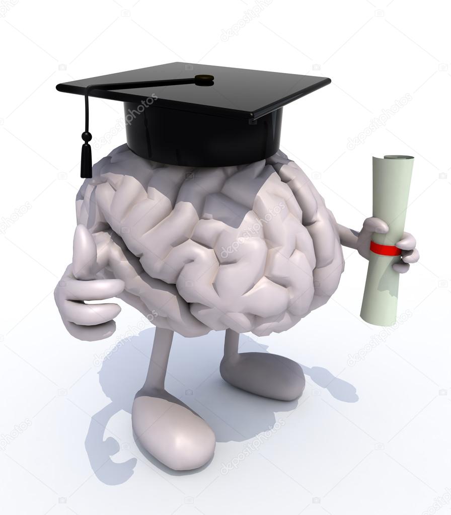 Human brain with arms and legs, Graduation Cap and Diploma — Stock ...