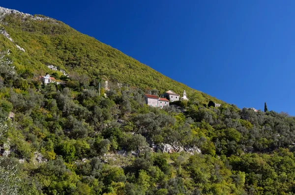 Lastva Stock Photos, Royalty Free Lastva Images | Depositphotos®