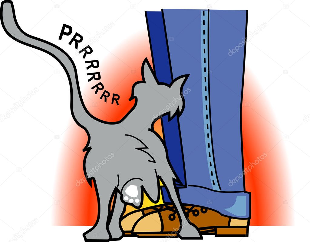 Cute gray cat purring and rubbing against a person's legs Stock ...