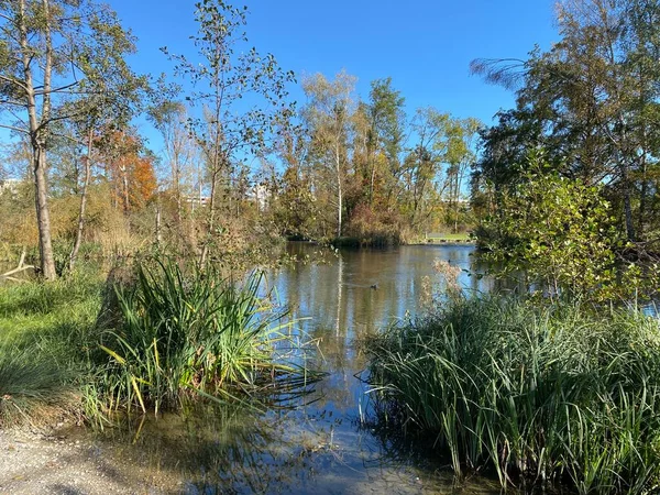 Doğa rezerv hula Stock Photos, Royalty Free Doğa rezerv hula Images ...