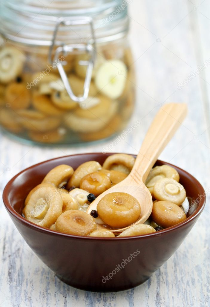 Pickled mushrooms Stock Photo by ©minadezhda 17175535