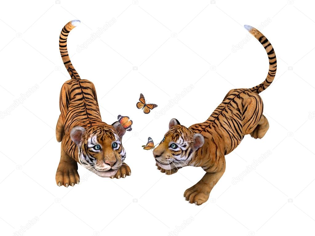 Cute Tiger Wallpapers