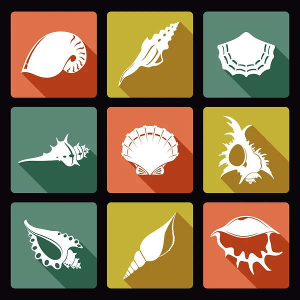 Collection of shell icons — Stock Vector © Kolonorf #41835345