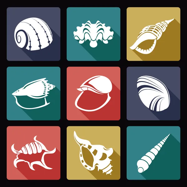 Collection of shell icons — Stock Vector © Kolonorf #41835345
