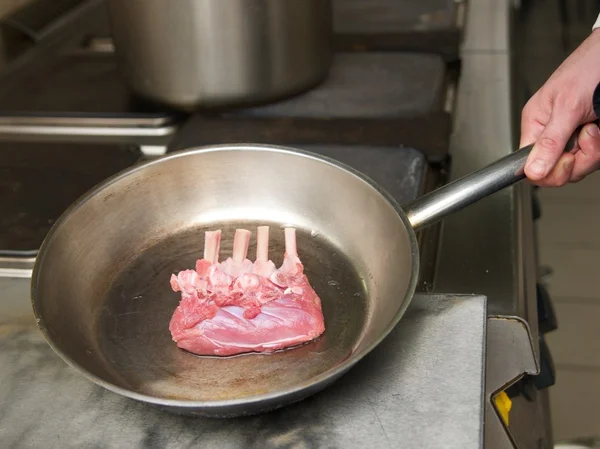 Fetal pig dissection Stock Photos, Royalty Free Fetal pig dissection ...