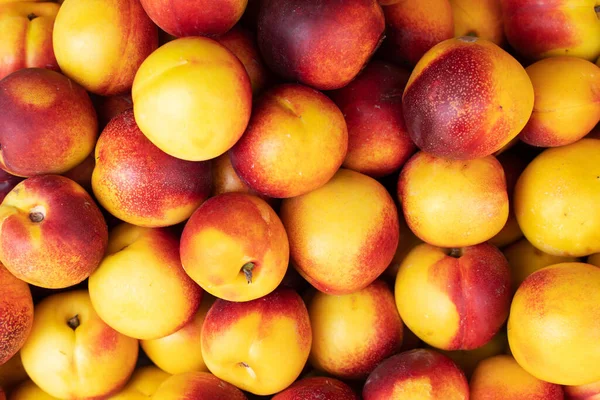 Friss nektarin Stock Photos, Royalty Free Friss nektarin Images ...