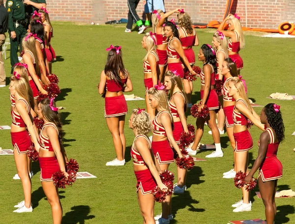 Photos: duke cheerleaders | Florida State University Cheerleading Squad ...
