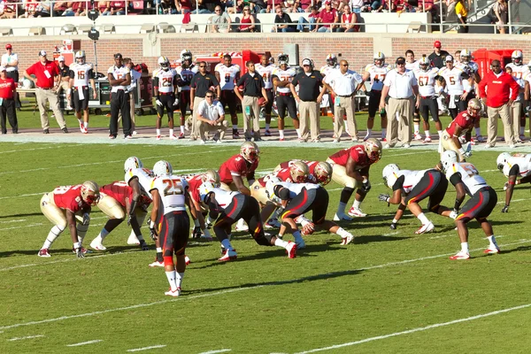 Florida State University Football – Stock Editorial Photo © TallyPic ...