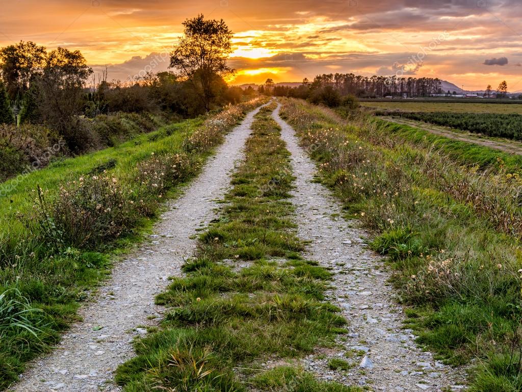 Dirt Road Path Leading to Sunset Stock Photo by ©JamesWheeler 32454497