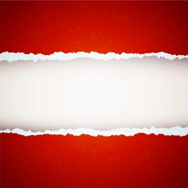 White page rip — Stock Vector © Nicemonkey #3408561